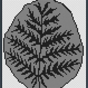 Fossilized Fern Cross Stitch Pattern Paleontology Science Embroidery ...