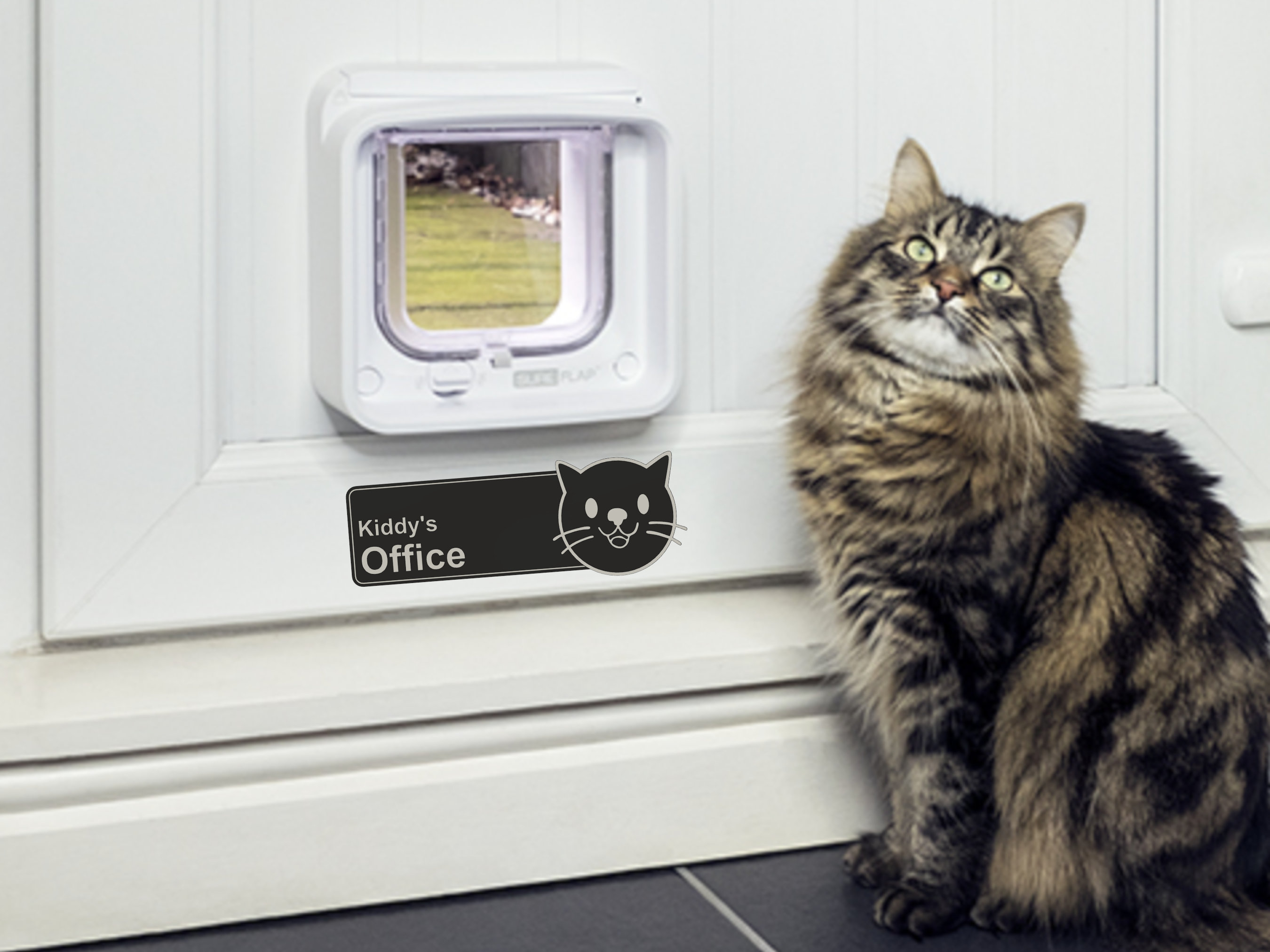 Custom Cat Door Sign - Etsy