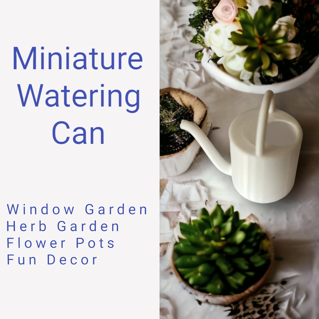 Miniature Watering Can: Indoor Plant, Herb & Fairy Garden Decor - Etsy