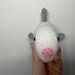 Mola Mola (ocean Sunfish) Crochet Plushie - Cute Mola Mola Amigurumi ...