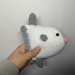 Mola Mola (ocean Sunfish) Crochet Plushie - Cute Mola Mola Amigurumi ...