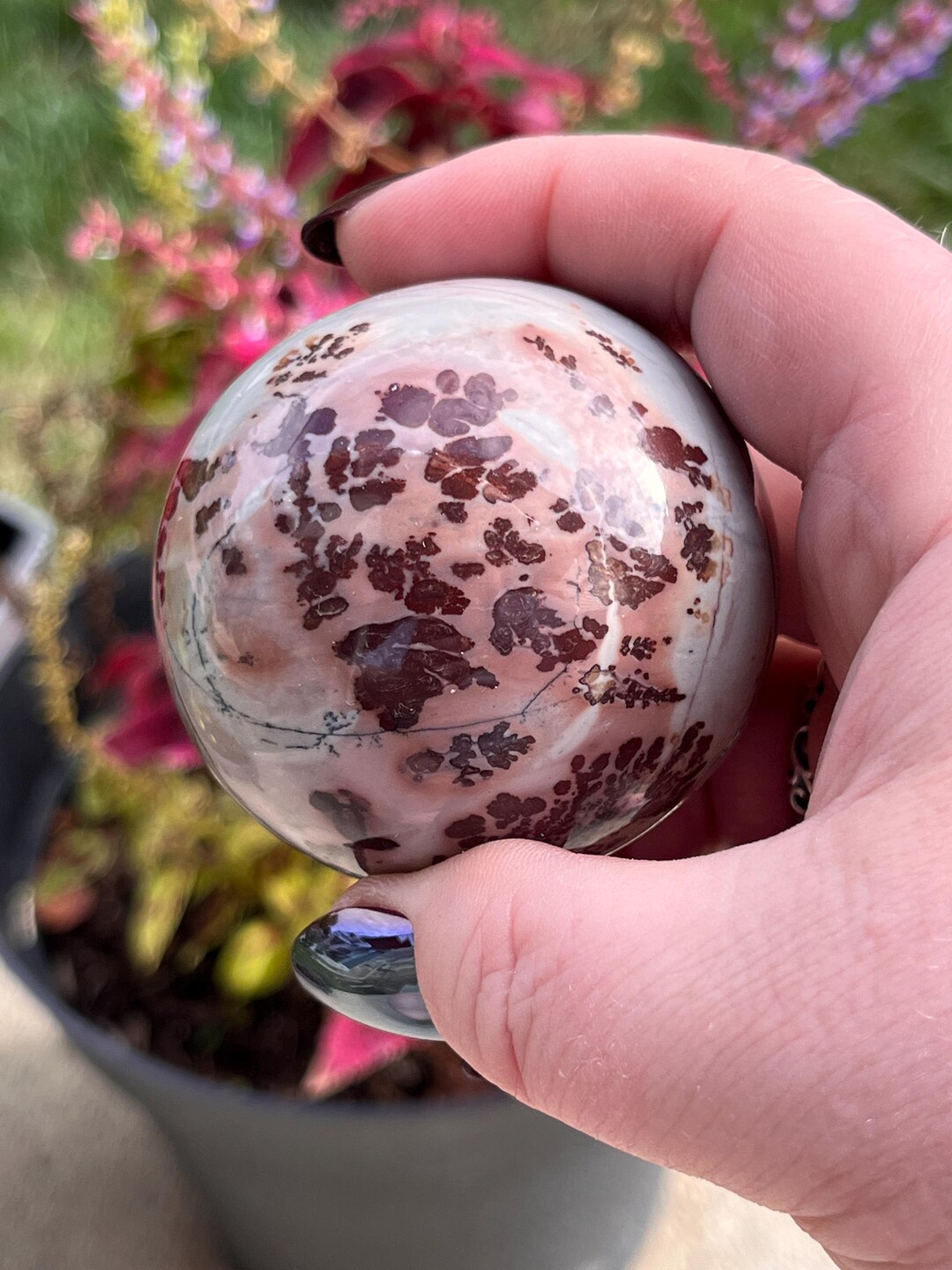 RARE red Flower Picture Jasper Spheres Asian Zen Feng Shui Dendritic ...