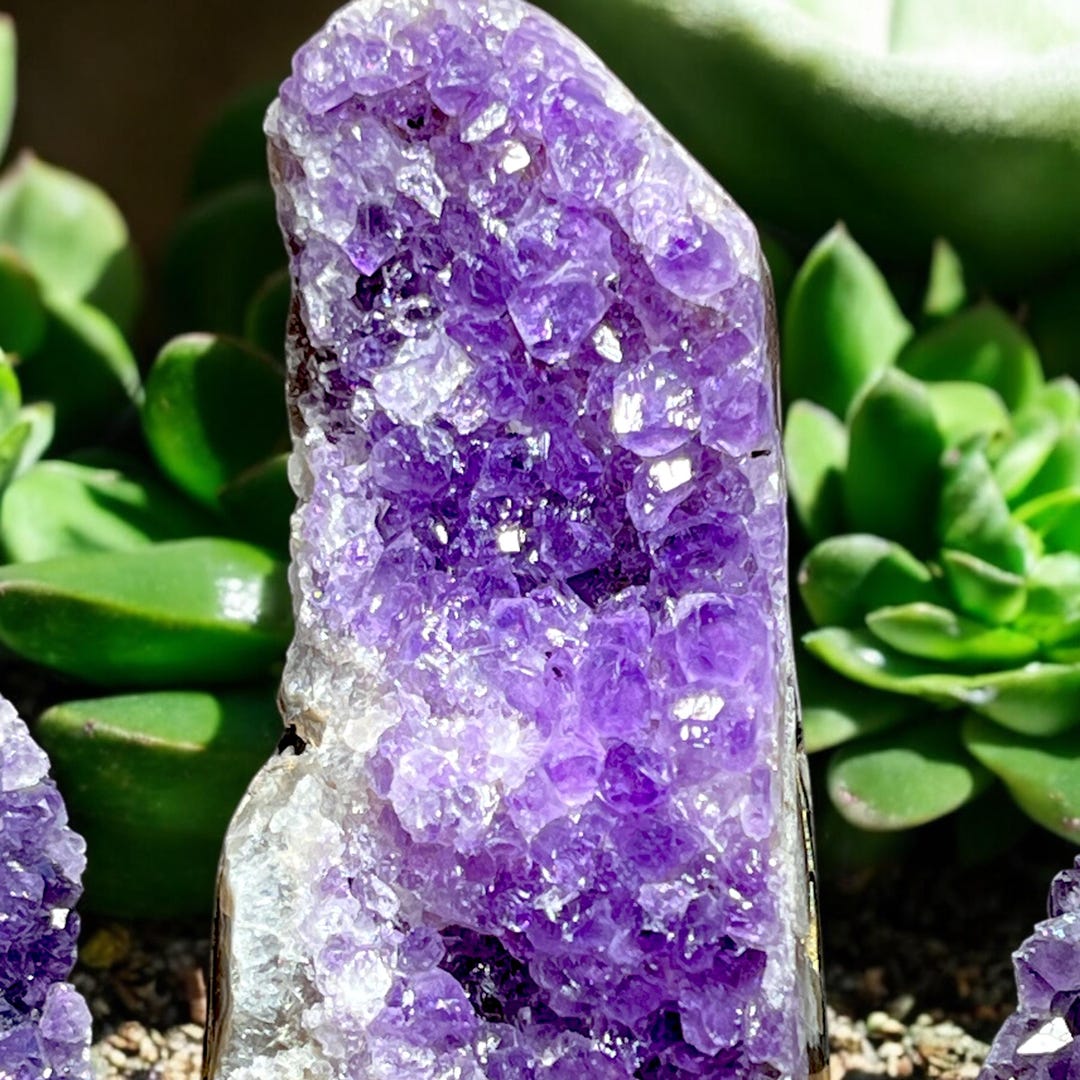 Raw Amethyst Cluster | Deep Purple Geode | Druzy Crystal Quartz ...