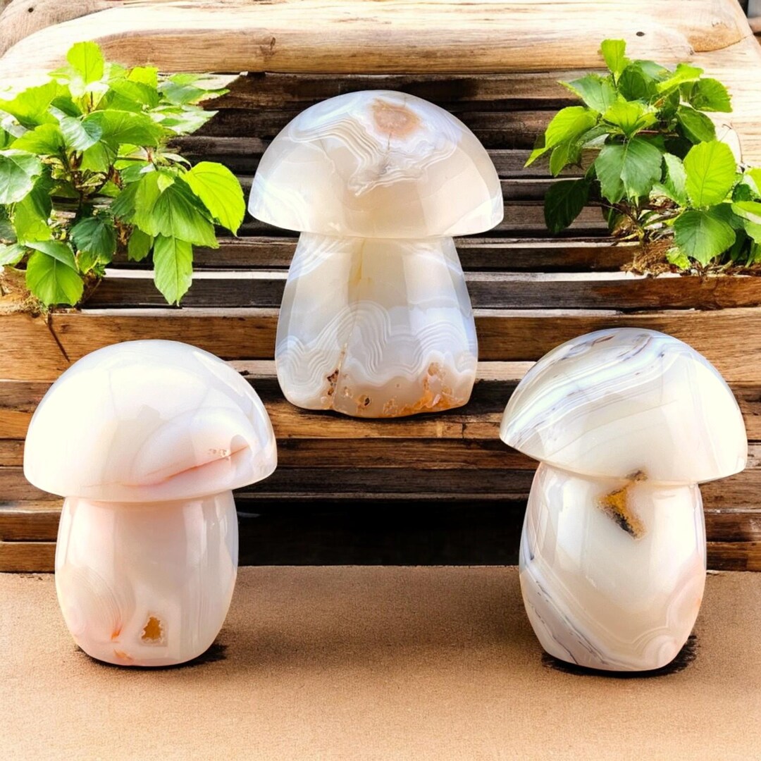 Banded Agate Mushroom Carvings | Cute Sculptures | Succulent Plant Pot ...