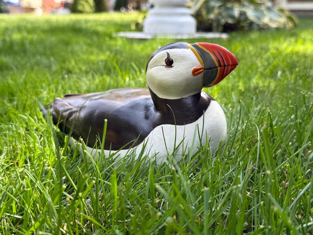 Hand Carved Wood Duck | Painted Life-size Puffin | Handmade Decoy, Made ...