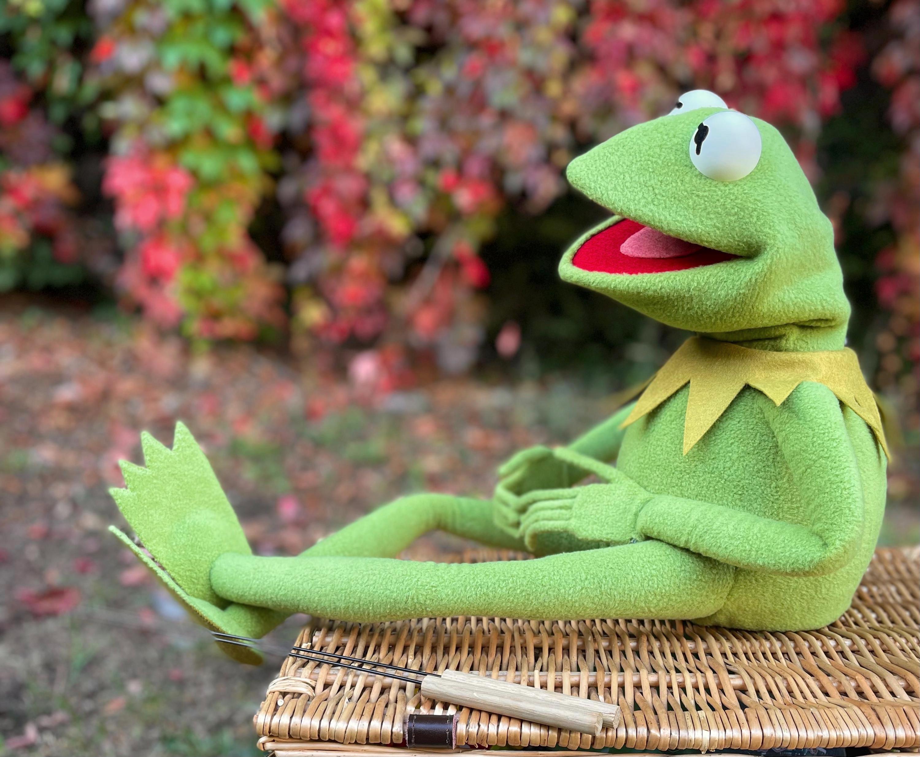 Kermit the Frog Puppet Replica Hand Puppet Muppet, 1:1 Professional ...