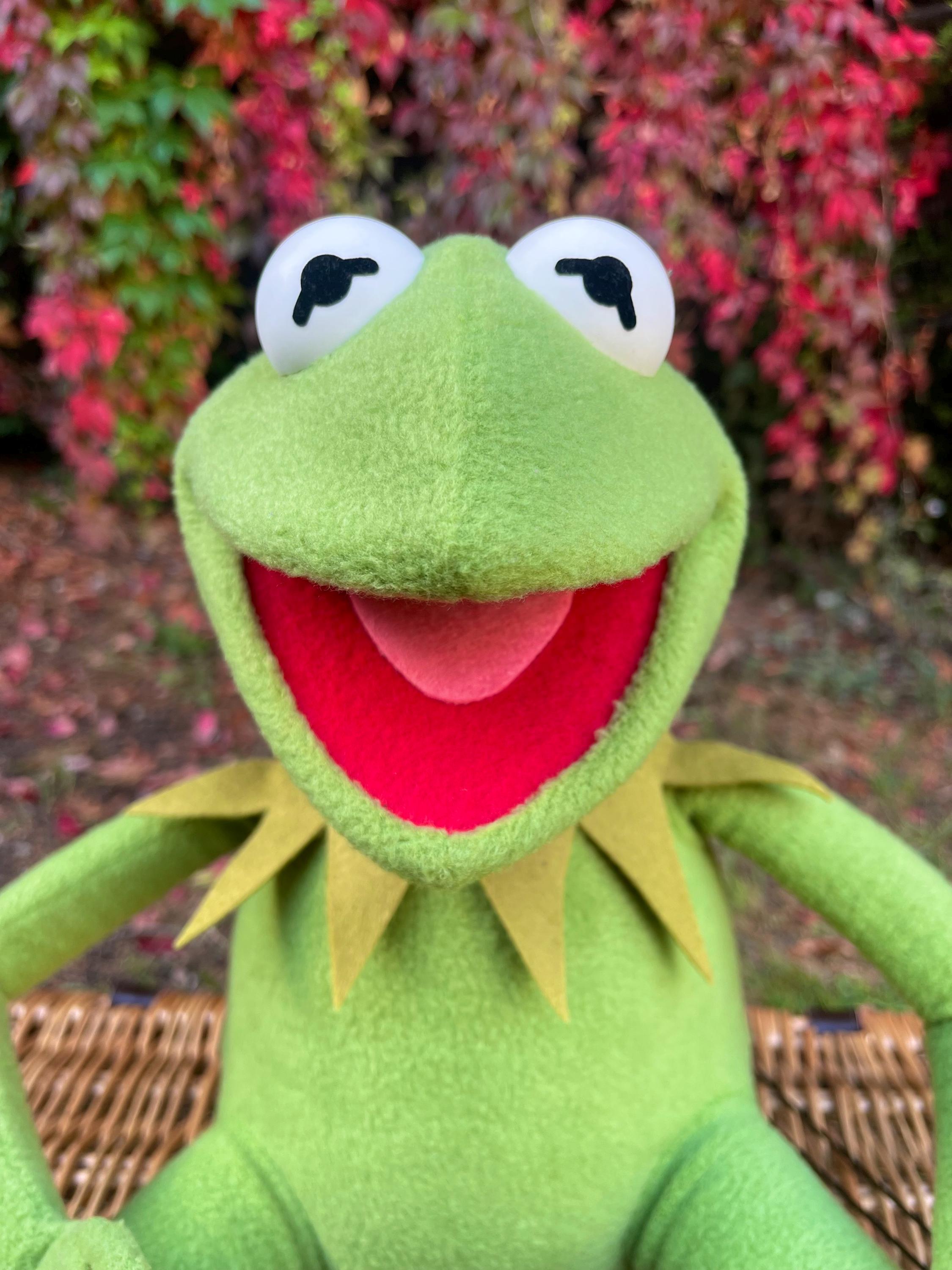 Kermit the Frog Puppet Replica Hand Puppet Muppet, 1:1 Professional ...