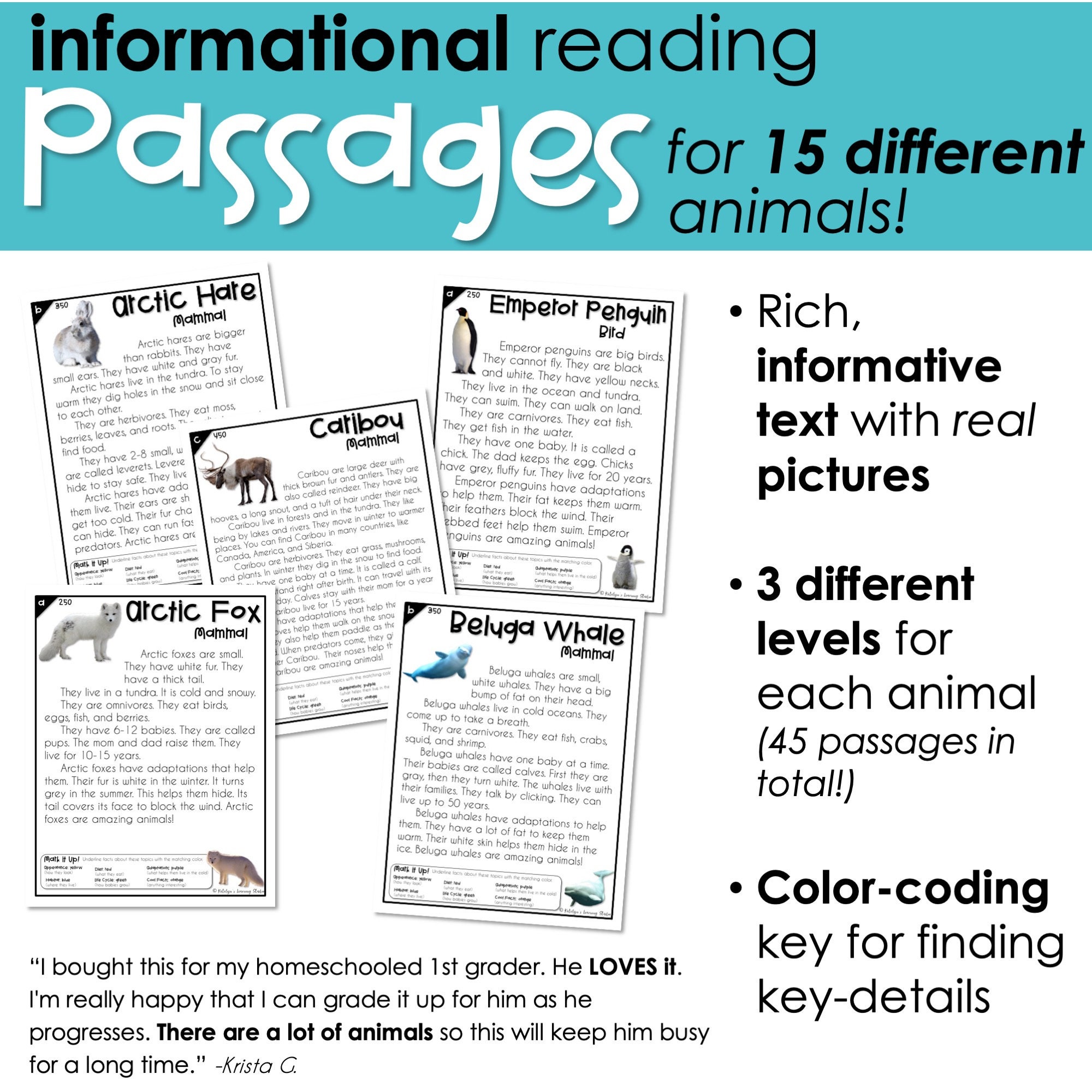 Winter Animals Unit Study Animal Research Project, Reading ...