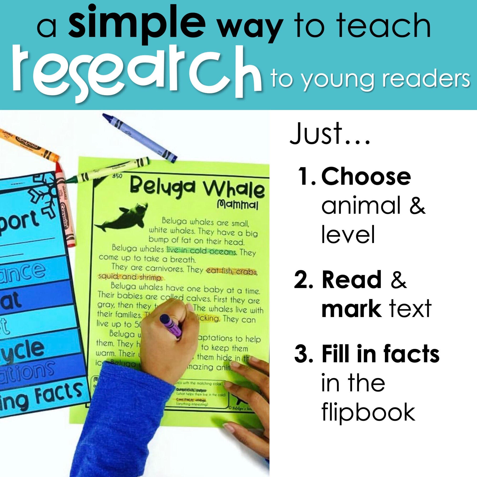 Winter Animals Unit Study Animal Research Project, Reading ...