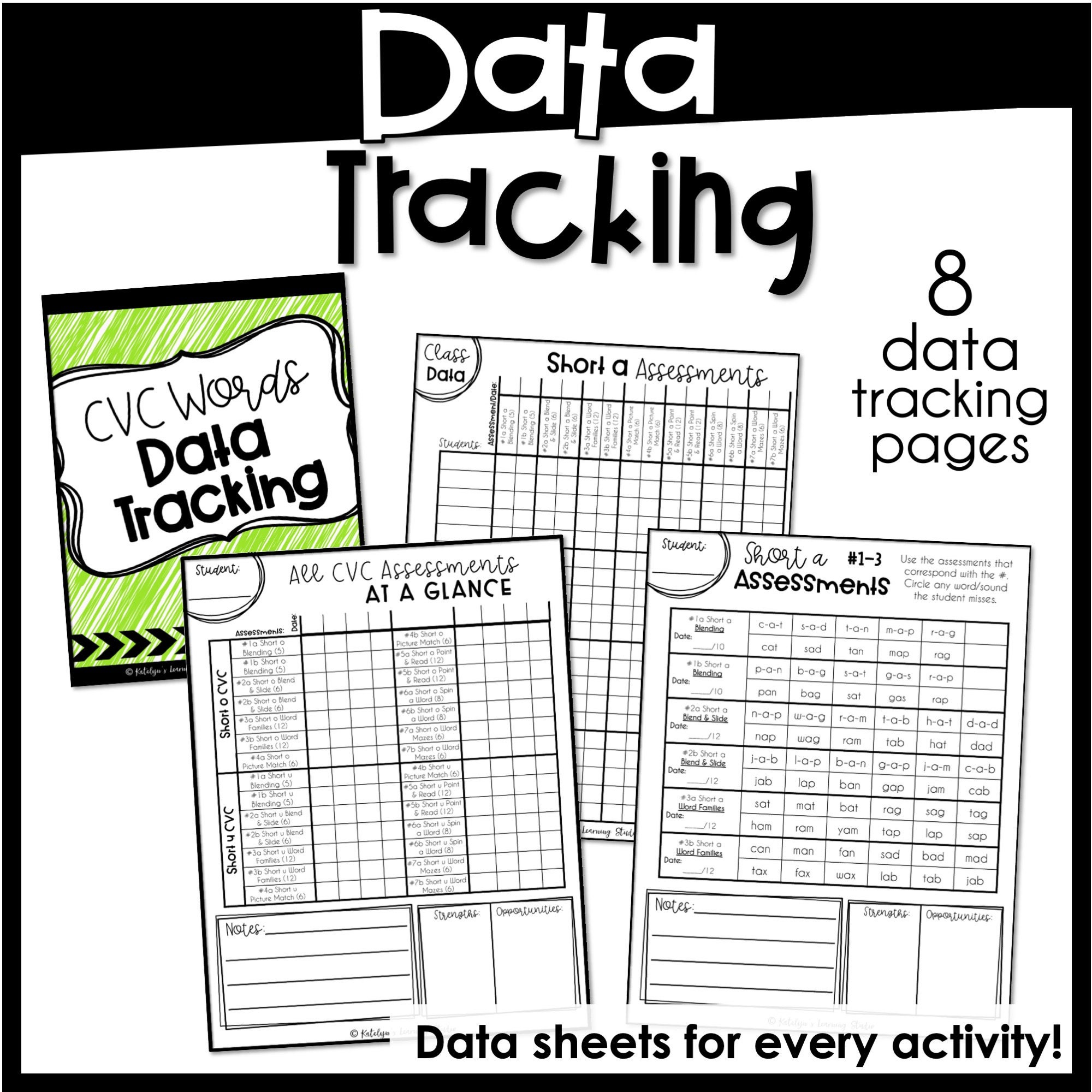CVC Words Reading Activities, CVC Word Activities for Science of ...