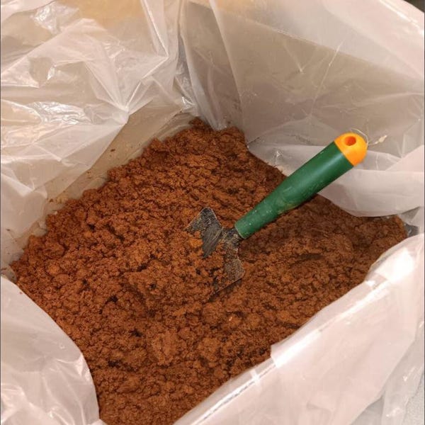 Mississippi Edible Red Clay - Etsy
