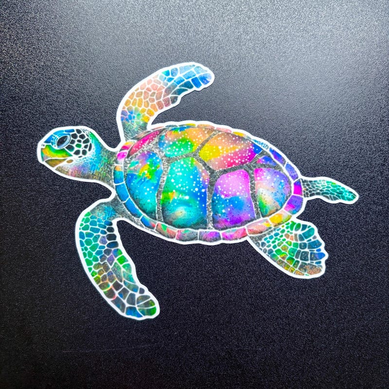 Glitter Turtle - Etsy