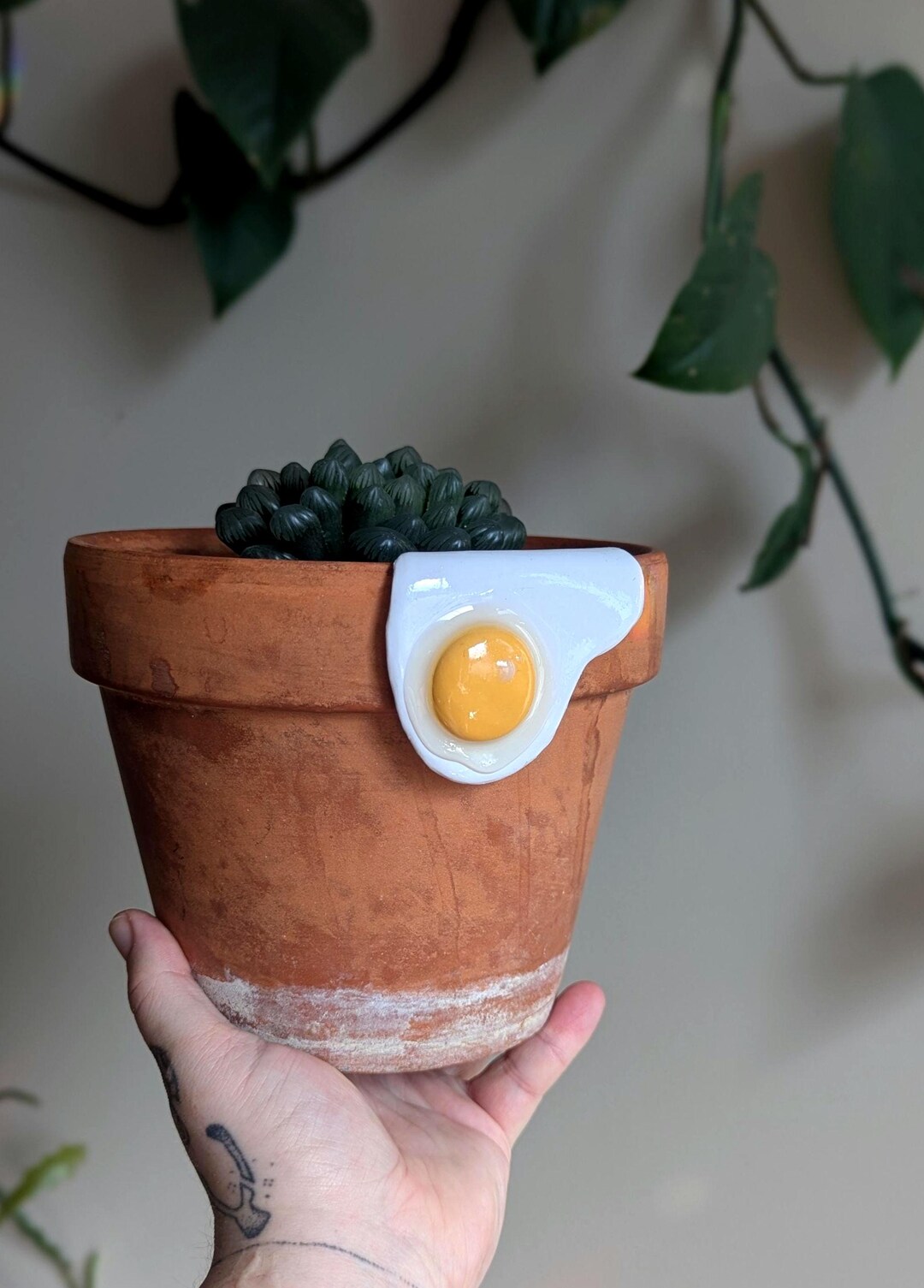 Dripping Egg Plant Pot Hanging Decor - Etsy
