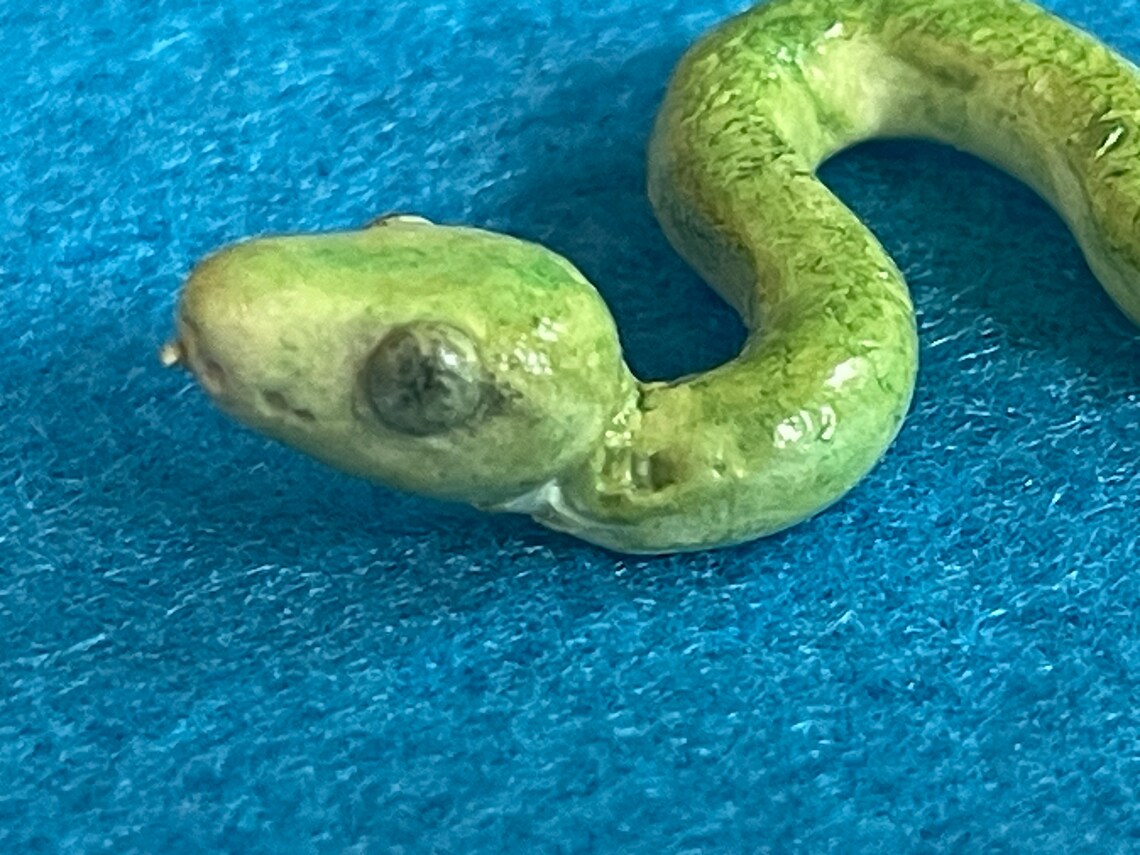 Mini Polymer Clay Snake (handmade) - Etsy