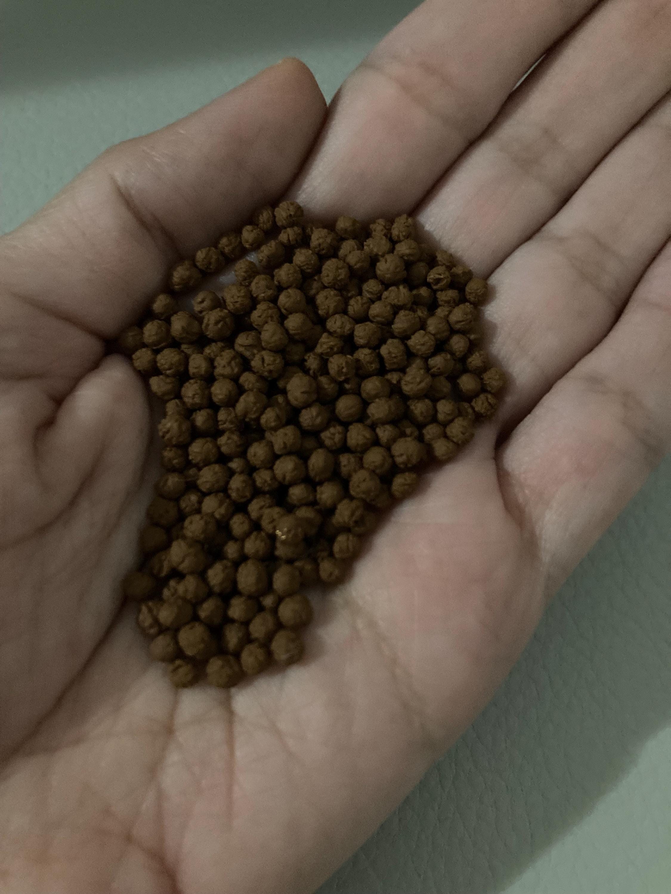 Miniature Choco Puffs Cereal Box With Choco Puffs Inside a Bag - Etsy