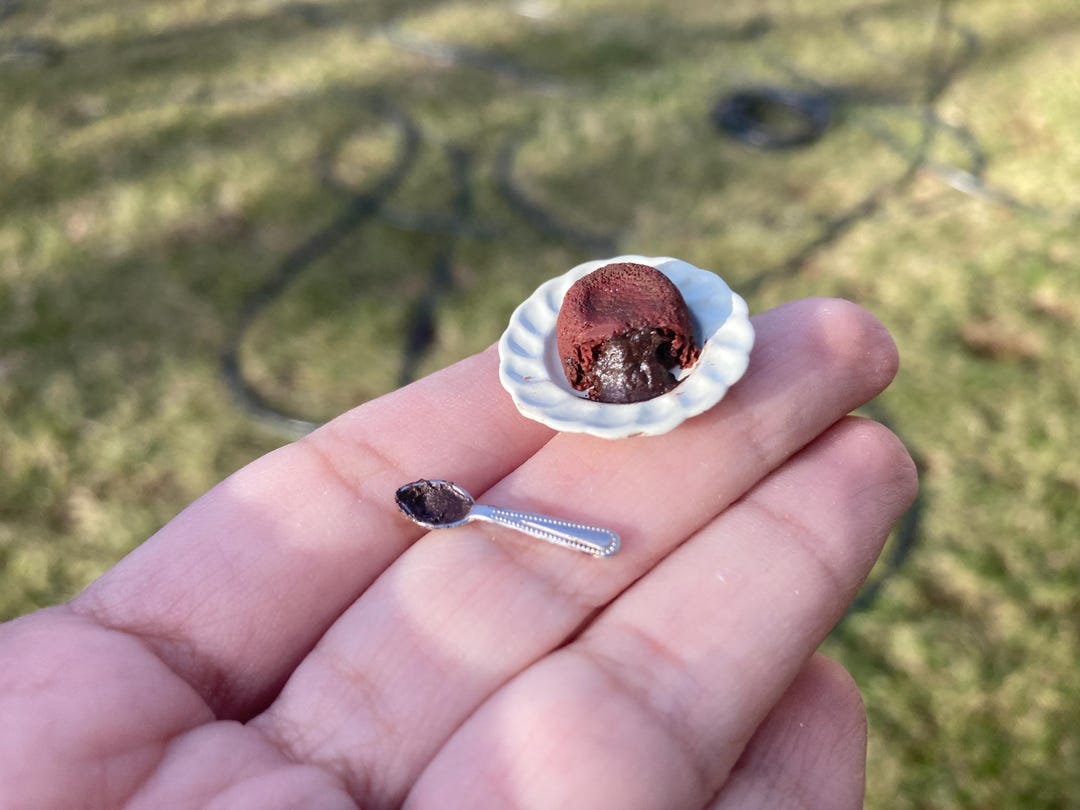Miniature Molten Lava Cake - Etsy