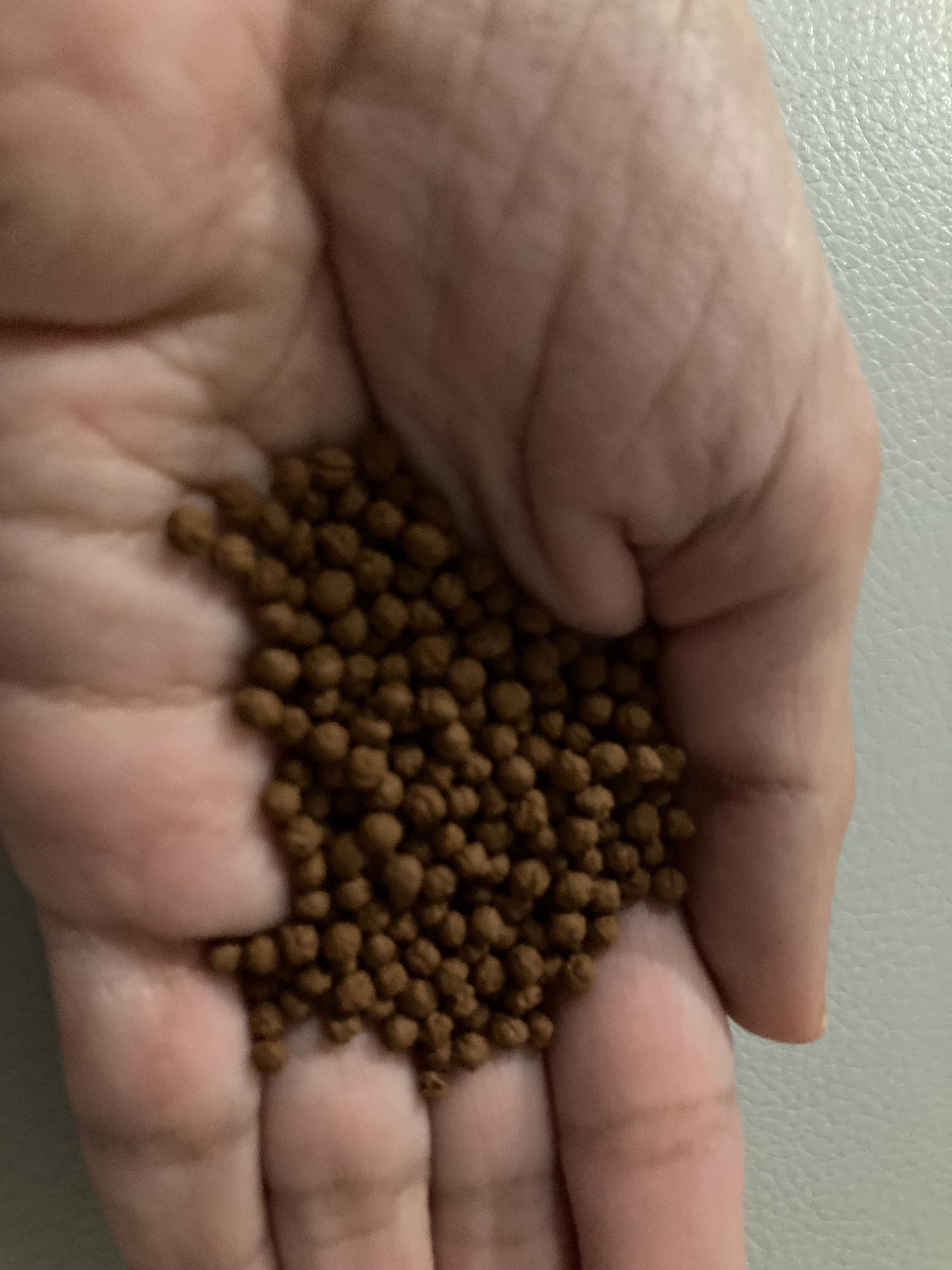 Miniature Choco Puffs Cereal Box With Choco Puffs Inside a Bag - Etsy