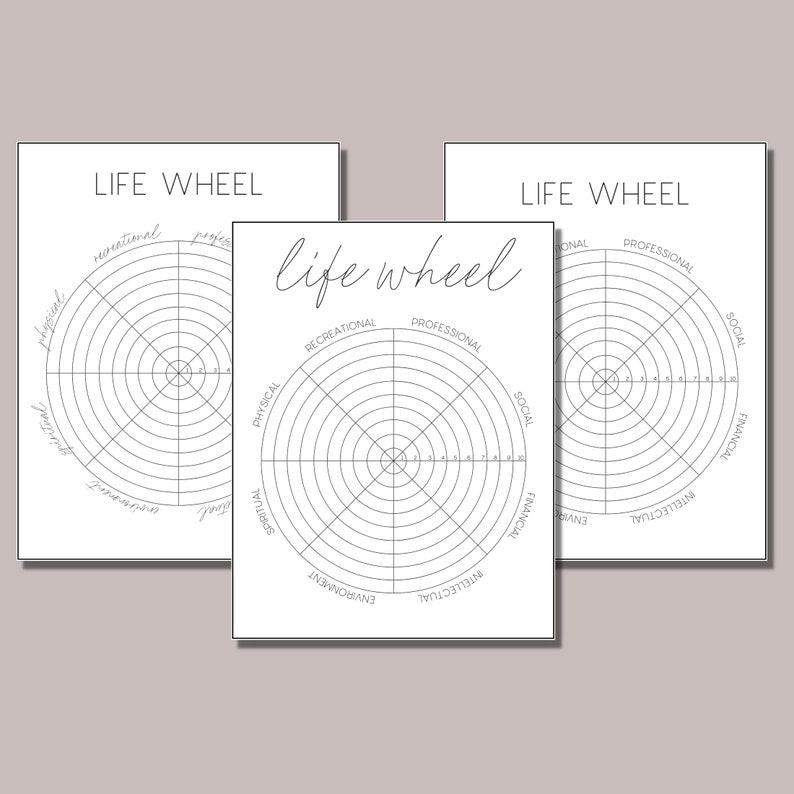 LIFE WHEEL Life Audit Printable Worksheet Level 10 Life Goals & Vision ...
