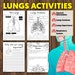 Lungs Activity Bundle Human Lungs Activity Lungs and Respiratory System ...