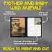 Mother and Baby Wild Animals Fact Cards Mother and Baby Animals Flash ...