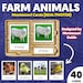 Farm Animals Montessori 3-part Cards (REAL IMAGES) | Farm Vocabulary ...