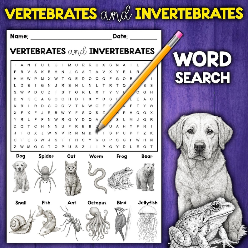 Vertebrates & Invertebrates Activity | Word Search Worksheet | Science ...