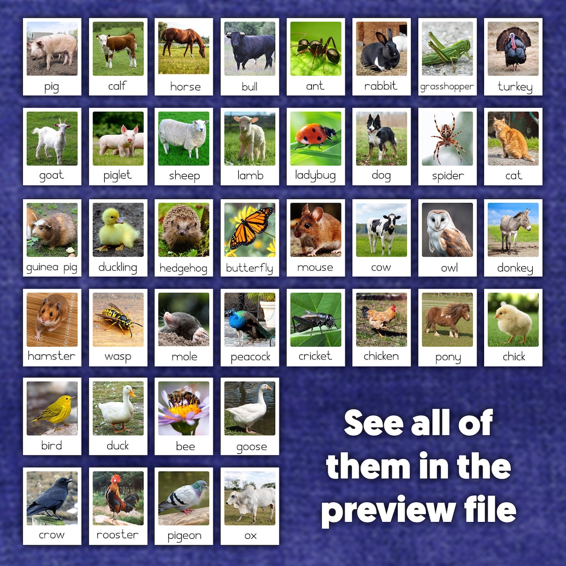 Farm Animals Montessori 3-part Cards (REAL IMAGES) | Farm Vocabulary ...