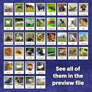 Farm Animals Montessori 3-part Cards REAL IMAGES Farm Vocabulary ...