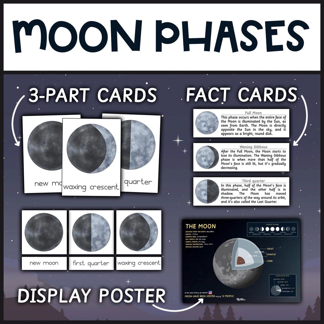 Moon Phases Activity Pack Phases of the Moon Phases Explained Moon ...