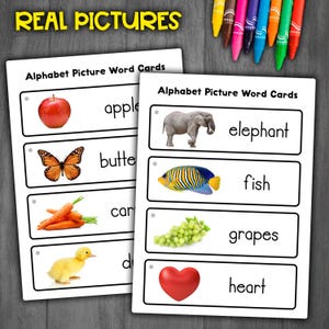 Alphabet Picture Cards | REAL PICTURES | Alphabet Cards Beginning ...