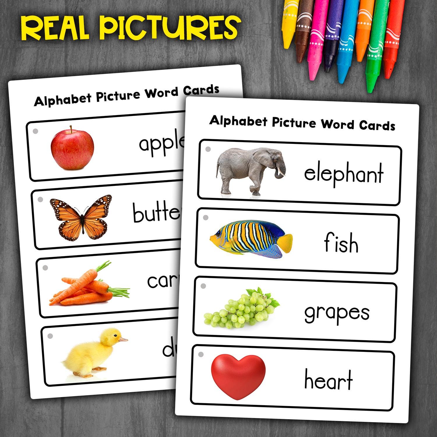 Alphabet Picture Cards | REAL PICTURES | Alphabet Cards Beginning ...