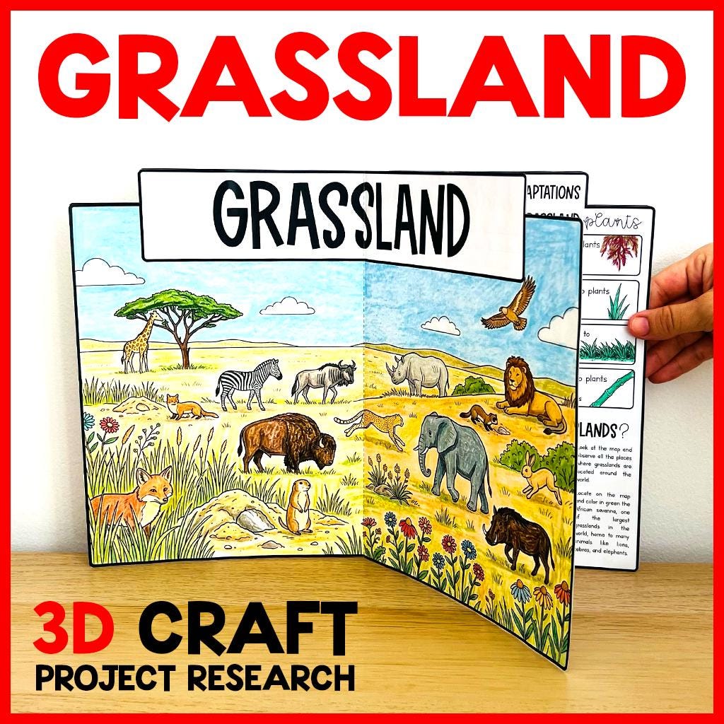 GRASSLAND Habitat | 3D Craft Activity | Biomes Hands-on Science ...