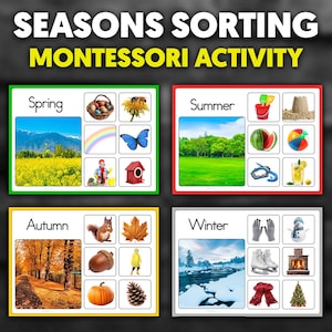 Four Seasons Montessori Sorting Activity | REAL IMAGES | Learning ...