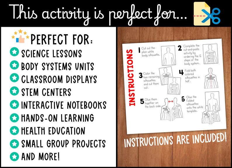 Nervous System 3D Craft | Human Body Science Activity | Printable ...
