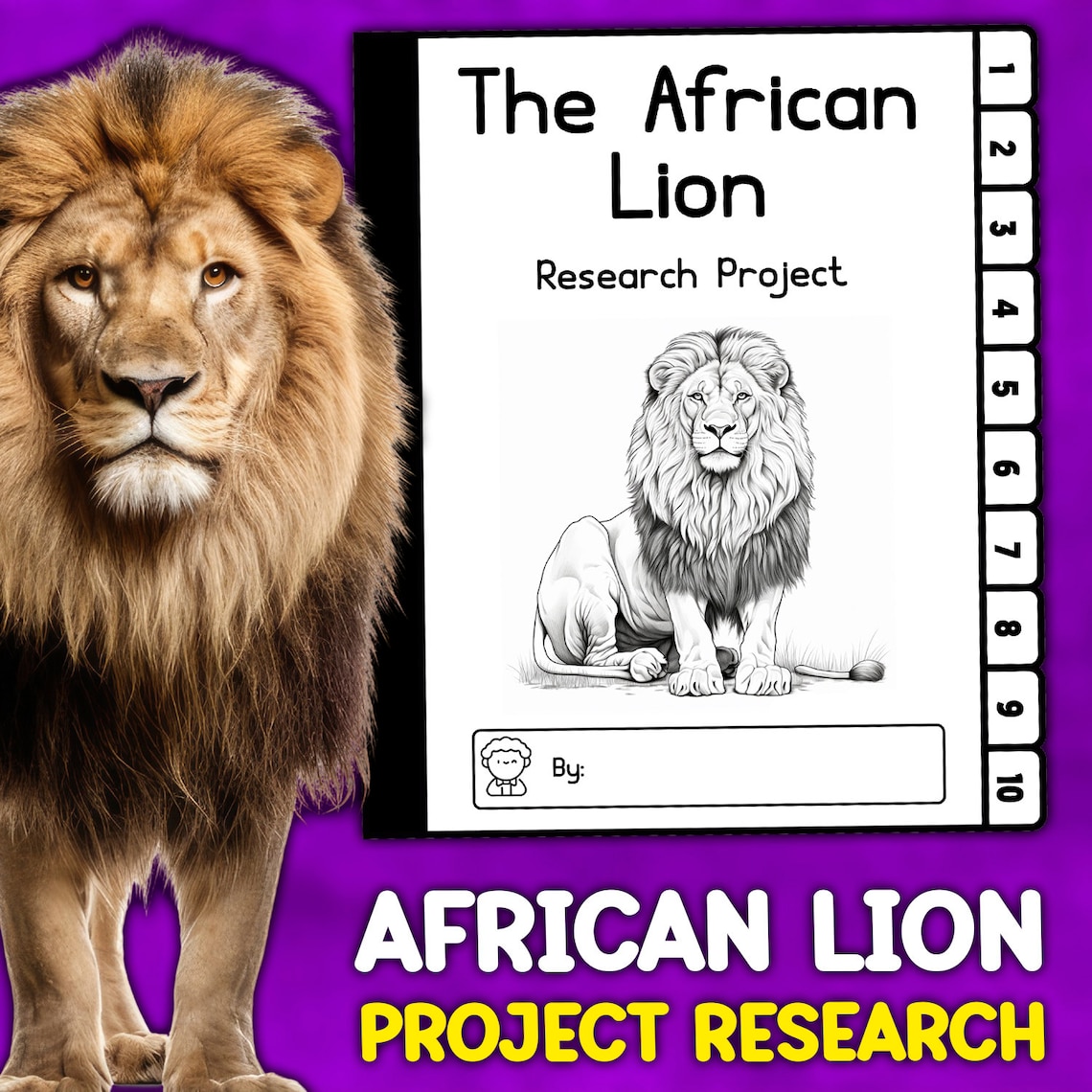 Lion Research Project | Science Writing Activity | Lion Research Report ...