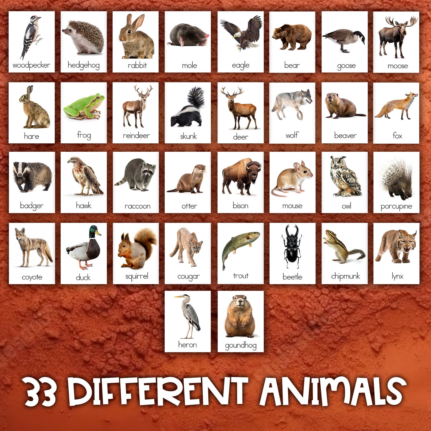 Forest Animals Flashcards | Montessori 3-part Cards | Forest Animals ...