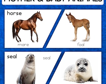 Animal Puzzles Matching Cards | Symmetry Activities | Montessori ...