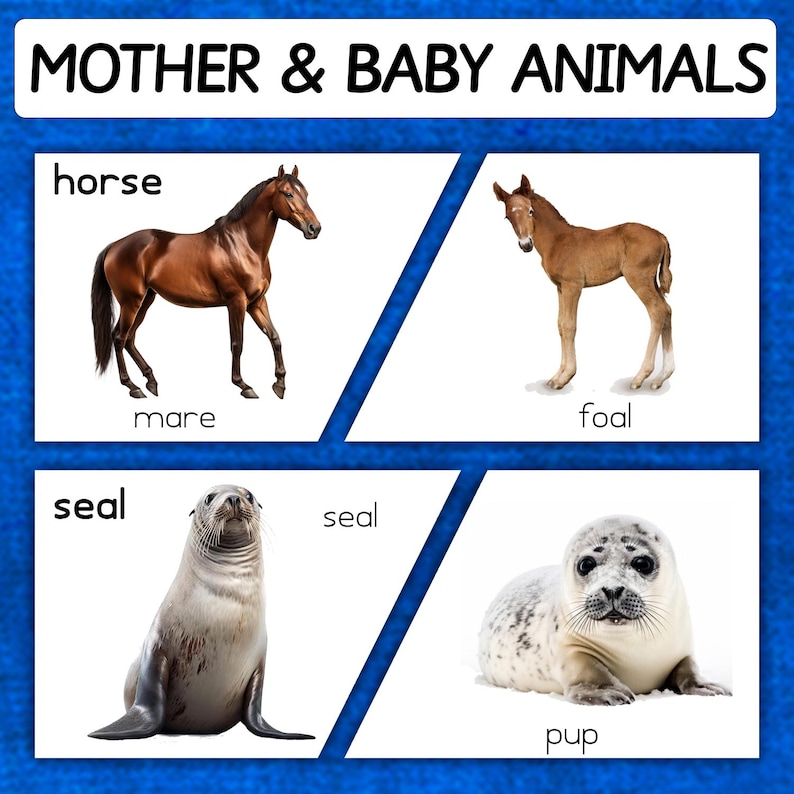 Matching Mother and Baby Animals | Montessori Cards | Matching Activity ...