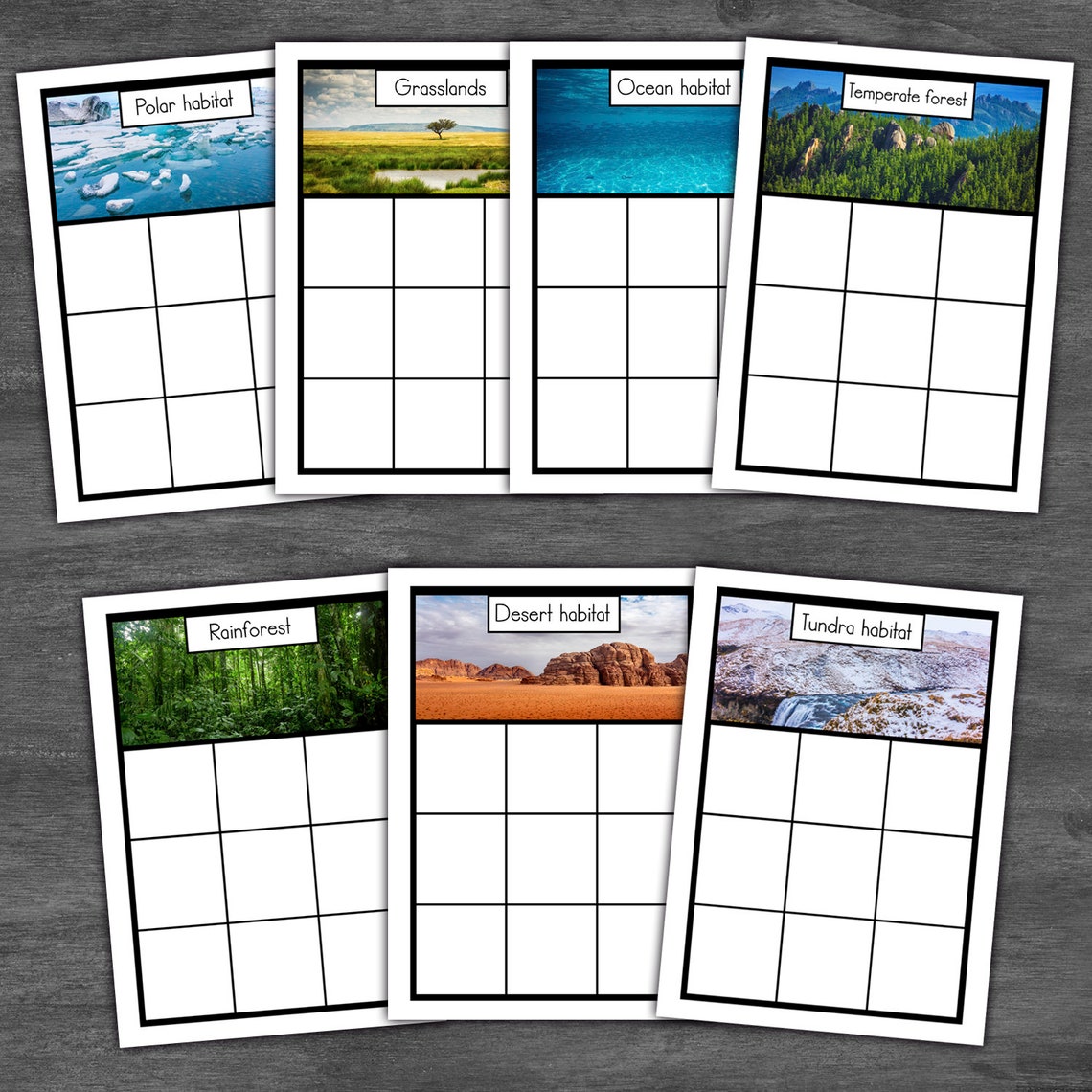 Animal Habitats Matching and Sorting Activity | Animals and Their ...