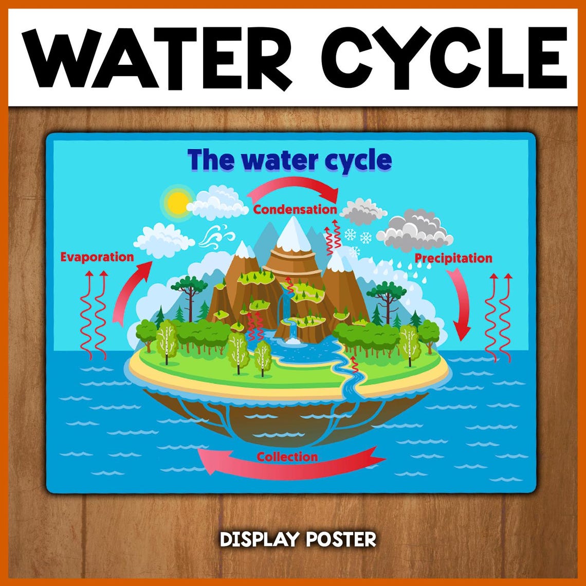 Water Cycle Unit for Kids | Display Poster + Information + Activity ...