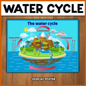 Water Cycle Unit for Kids | Display Poster + Information + Activity ...