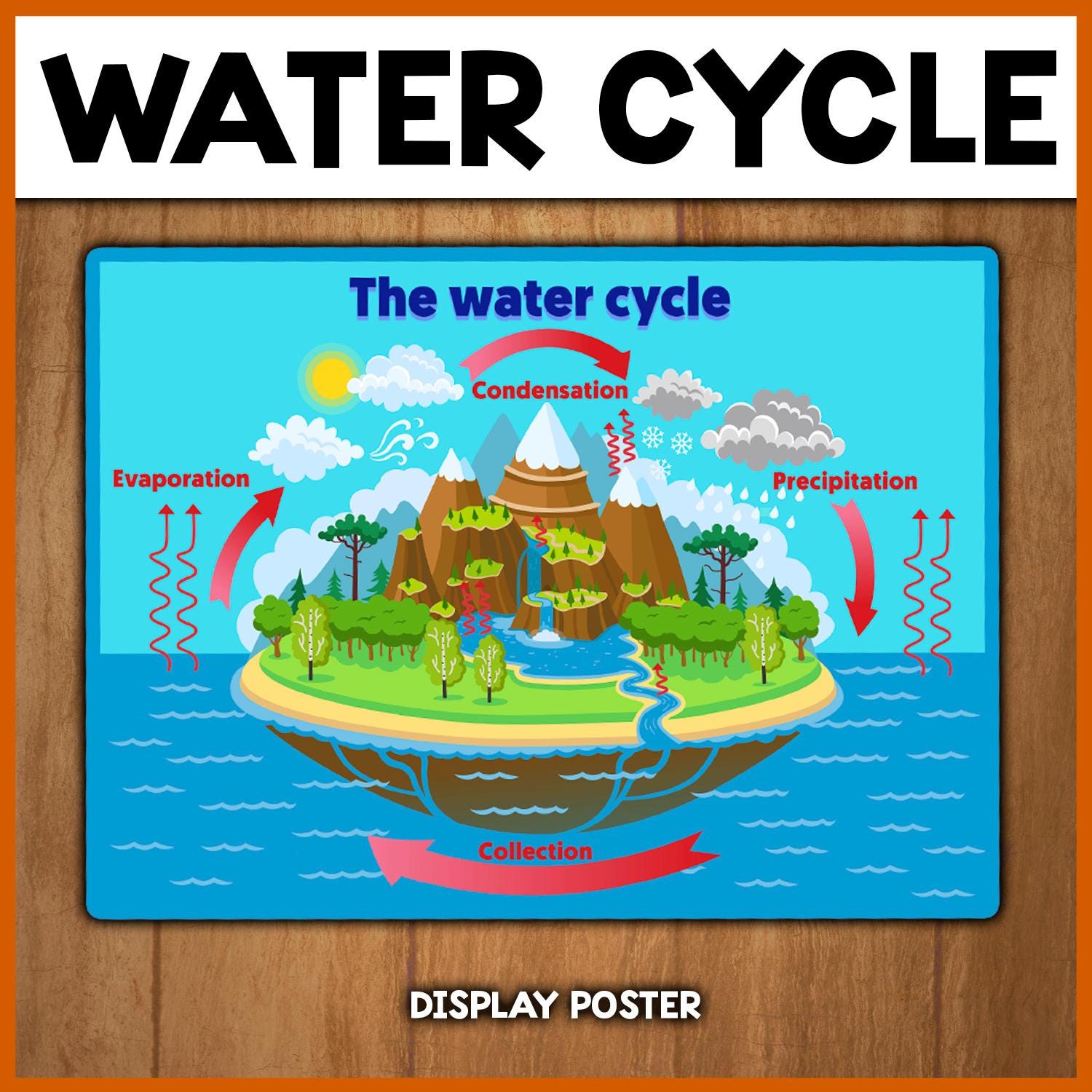 Water Cycle Unit for Kids | Display Poster + Information + Activity ...