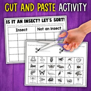Insects Vs Not Insects Cut and Paste Worksheet | Bug Sorting Activity ...