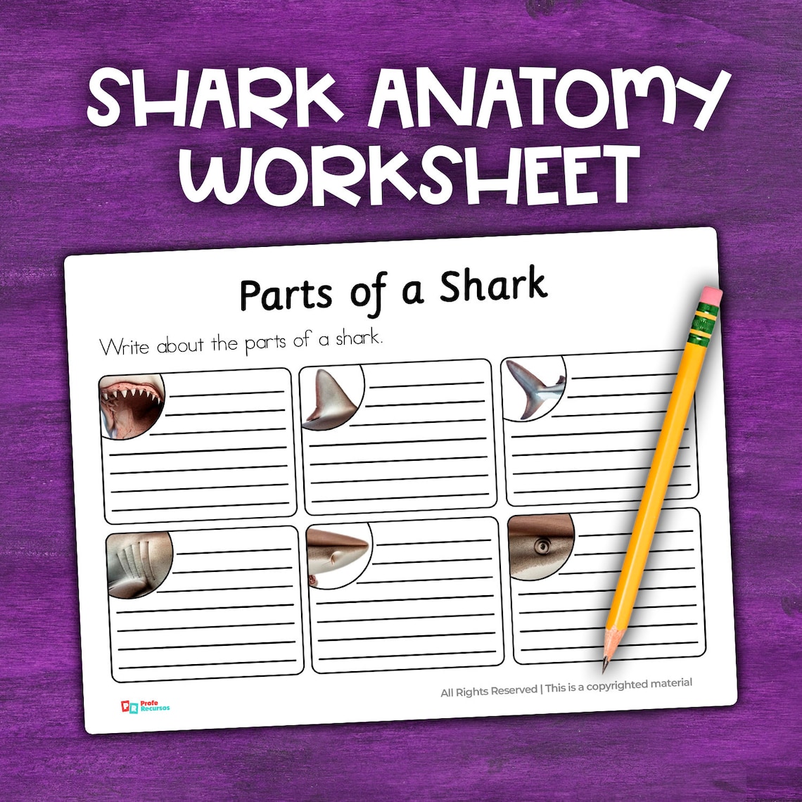 Parts of a Shark Parts Anatomy of a Shark Diagram Shark Labeled Shark ...