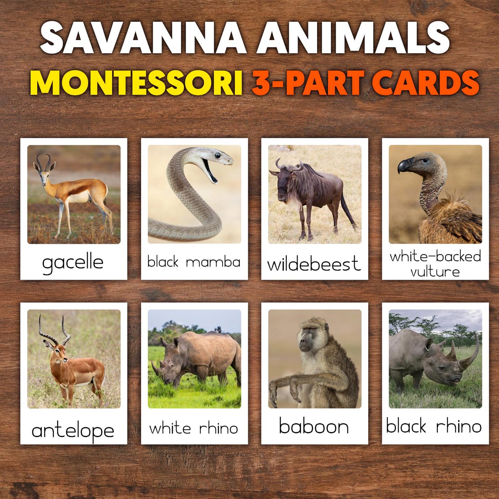 Savanna Animals | Montessori 3-part Cards | Montessori Animal ...