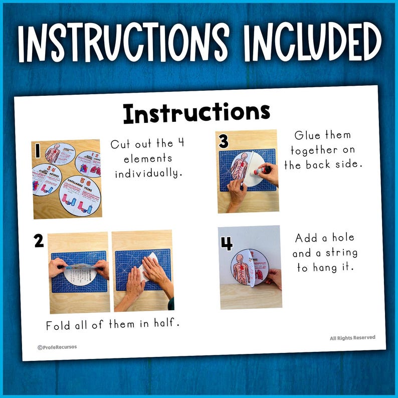 Circulatory System 3D Craft Activity | Science Craft Activity | Body ...