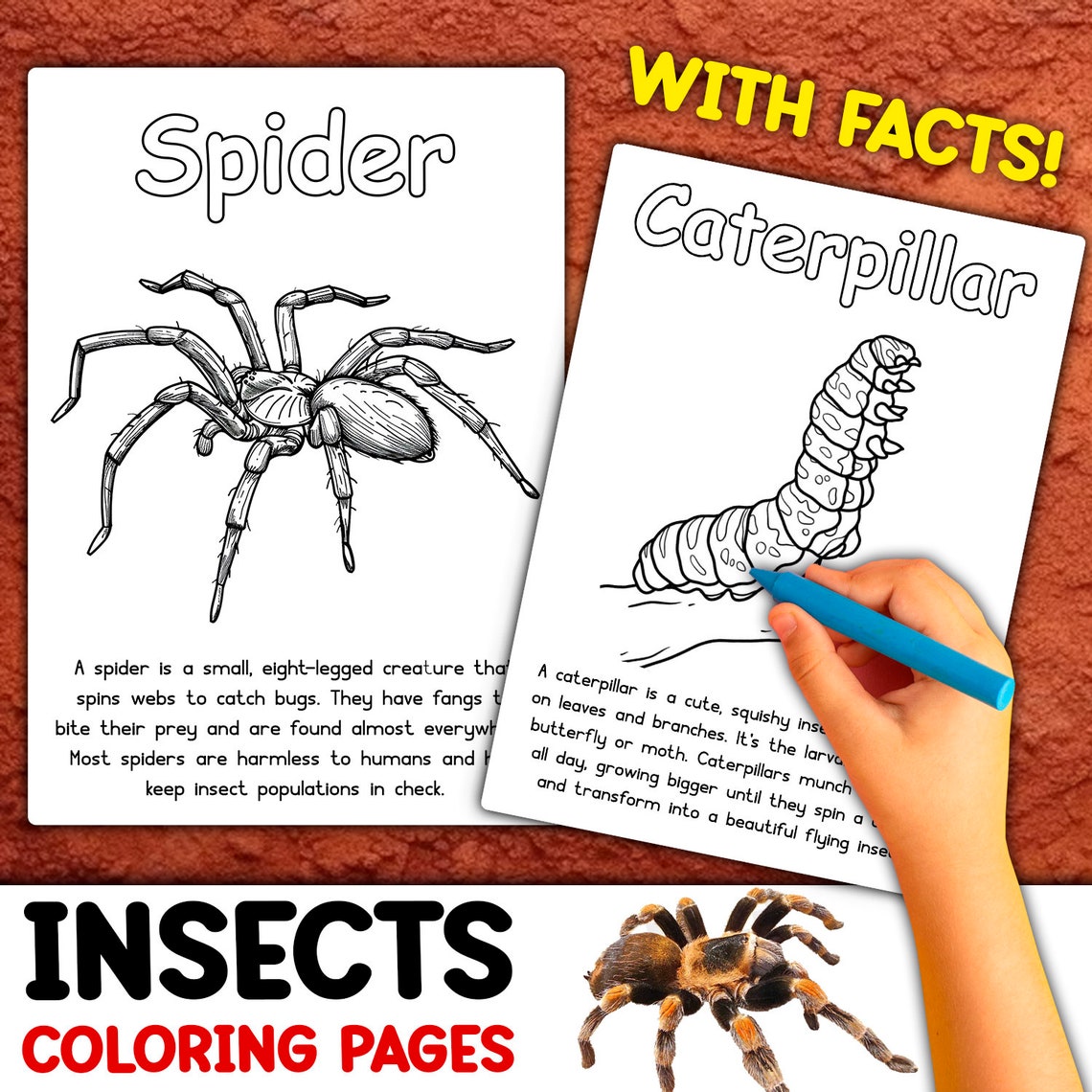 Insects Coloring Pages for Kids | Bugs Coloring Pages for Kids ...