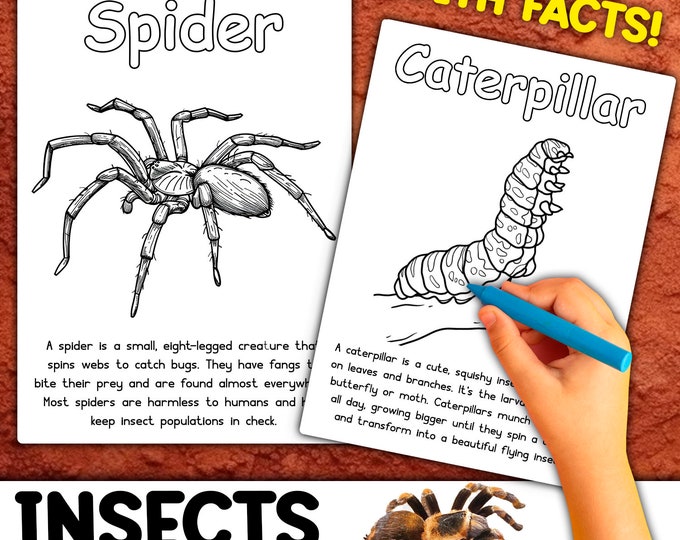 Insects Coloring Pages for Kids | Bugs Coloring Pages for Kids ...