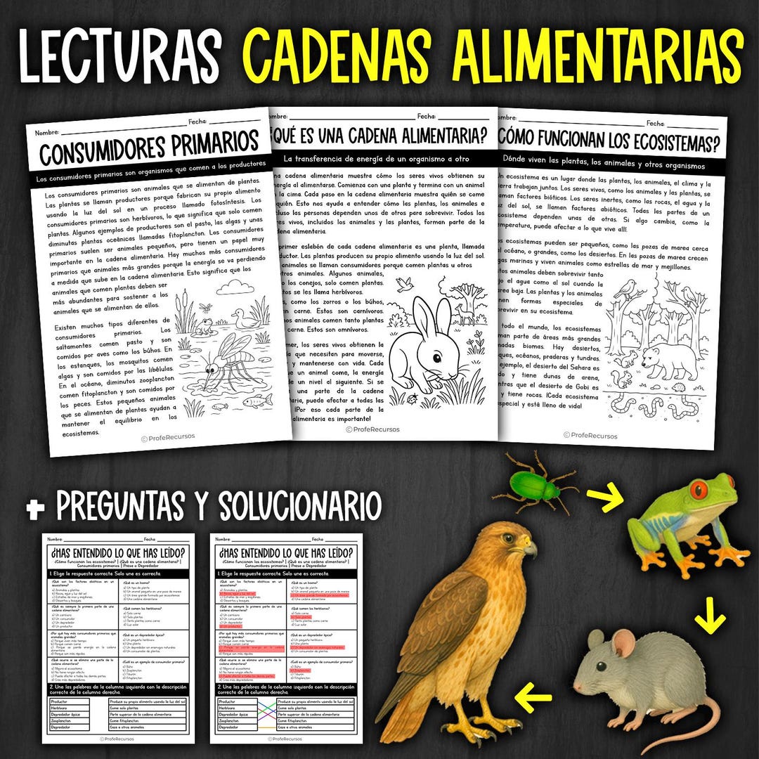 Spanish Food Chains and Food Webs | Food Chains | Food Webs | Food ...