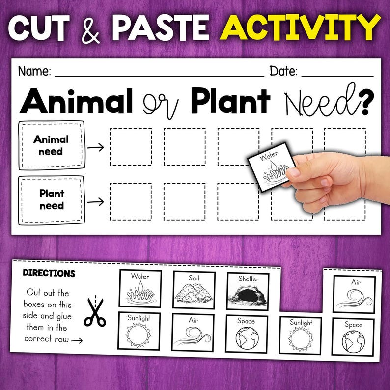 Basic Needs of Living Things | Animal & Plant Need Worksheet Sorting ...